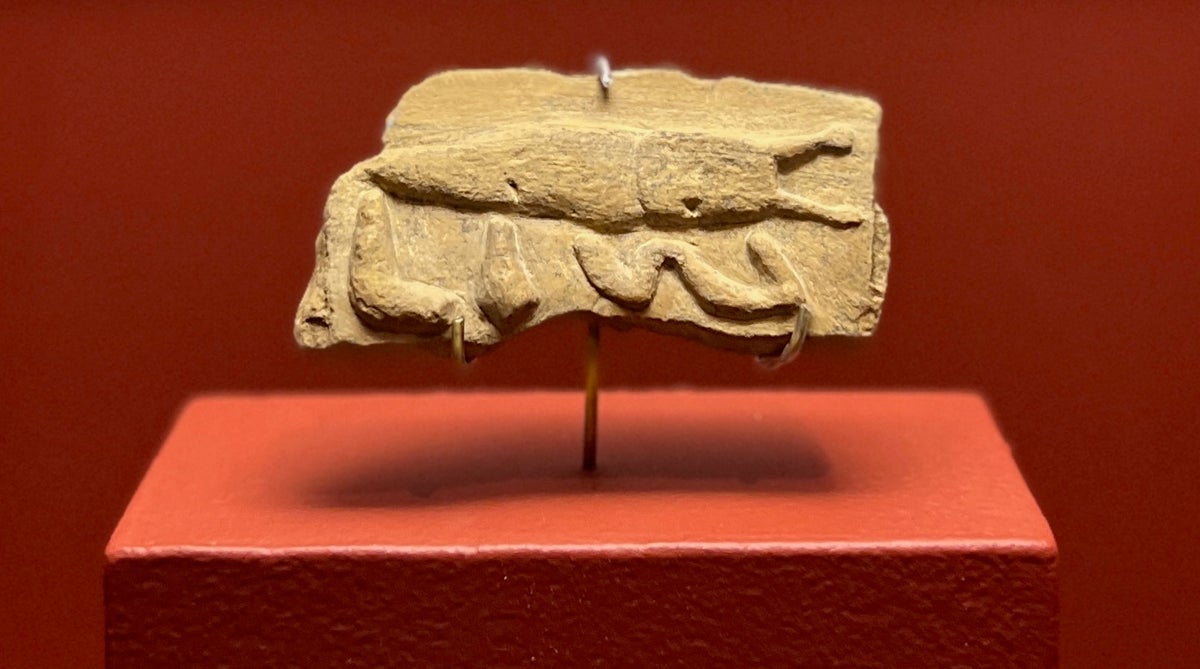 5 of the Greatest Natural History Hoaxes of All Time | Scientific American